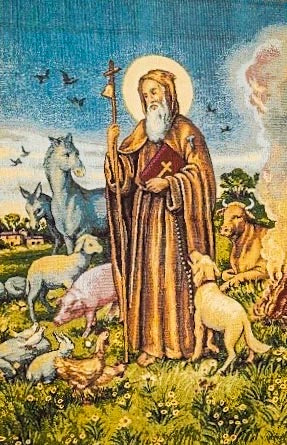 Sant’Antonio Abate – Enzo Astrologo Arazzi